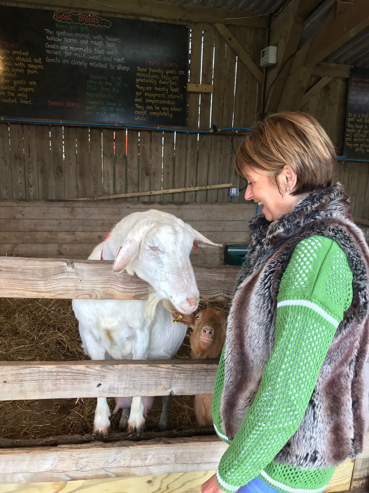 What an amazing day at Pennywell Farm! | Behind The Fairy Door